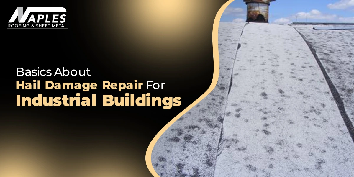Basics About Hail Damage Repair For Industrial Buildings